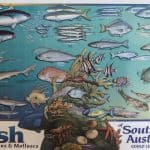 Fish of Southern Australia Poster – Gould League